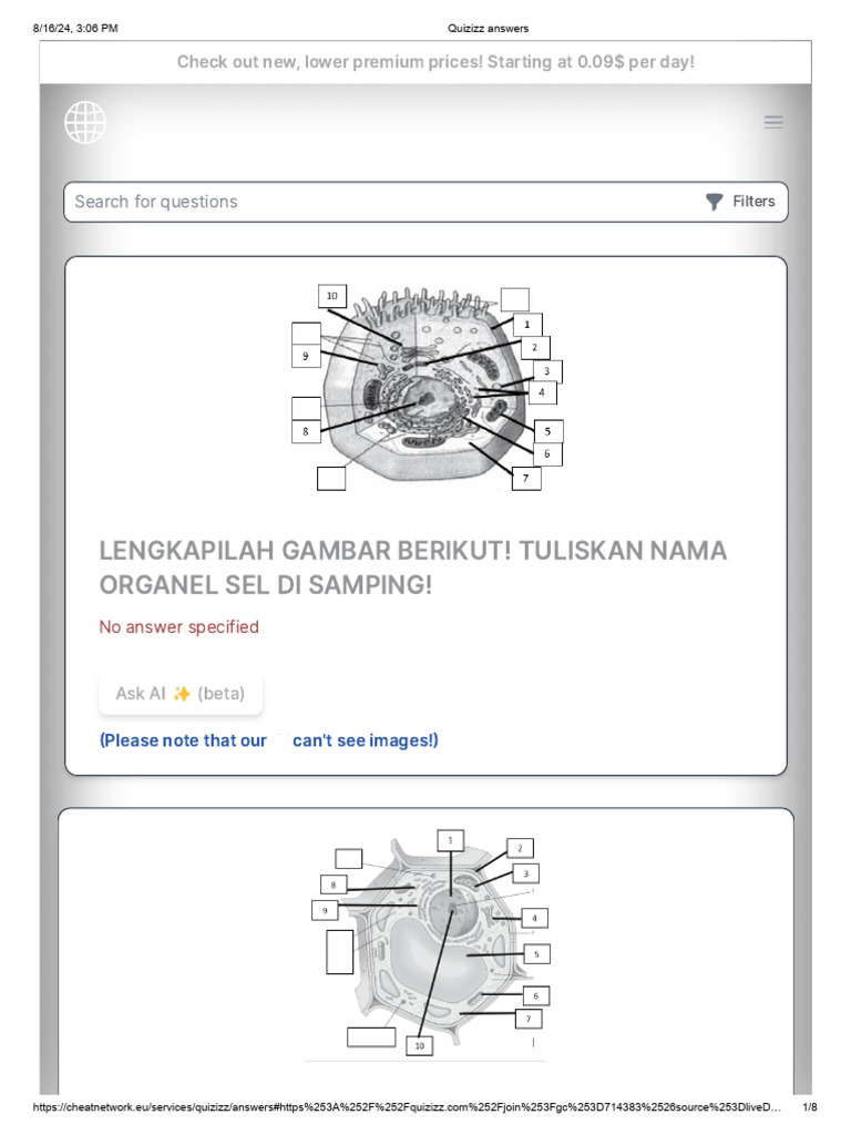 Quizizz Answers | PDF