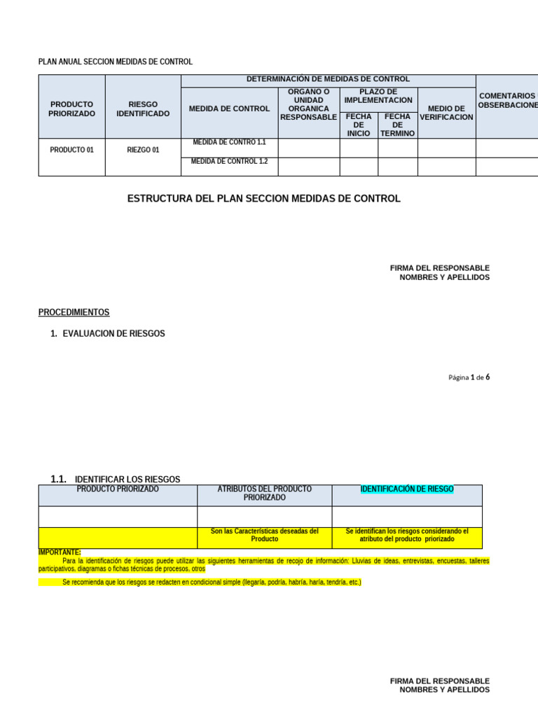 Formatos - Plan Anual - Medidas de Control | PDF