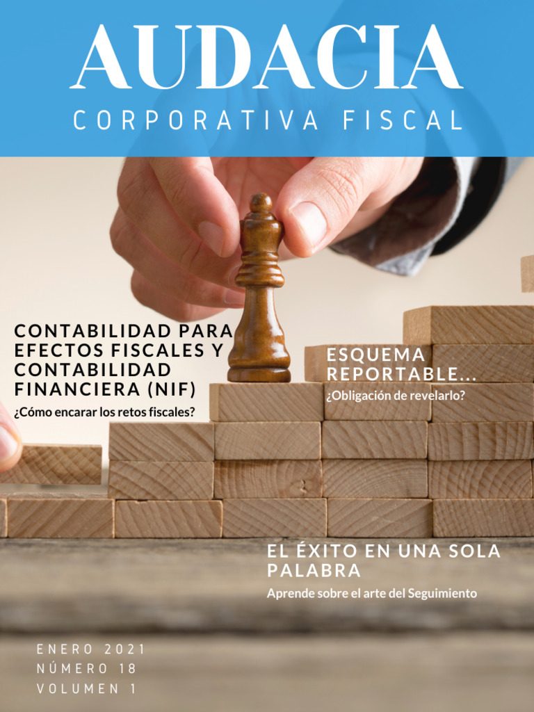Audacia 18 | PDF | Contabilidad | Finanzas y dinero