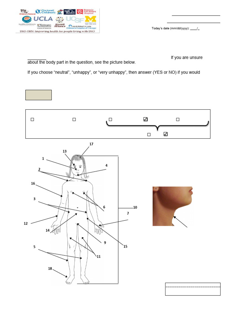 Body Image Scale for Girls 10+ | PDF | Human Appearance