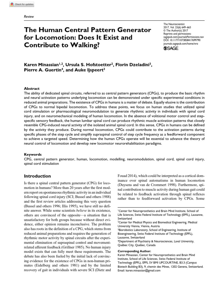 The Human Central Pattern Generator | PDF