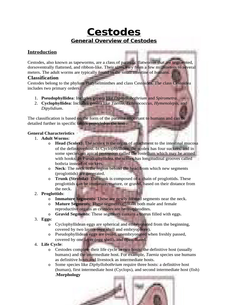 Cestodes | PDF
