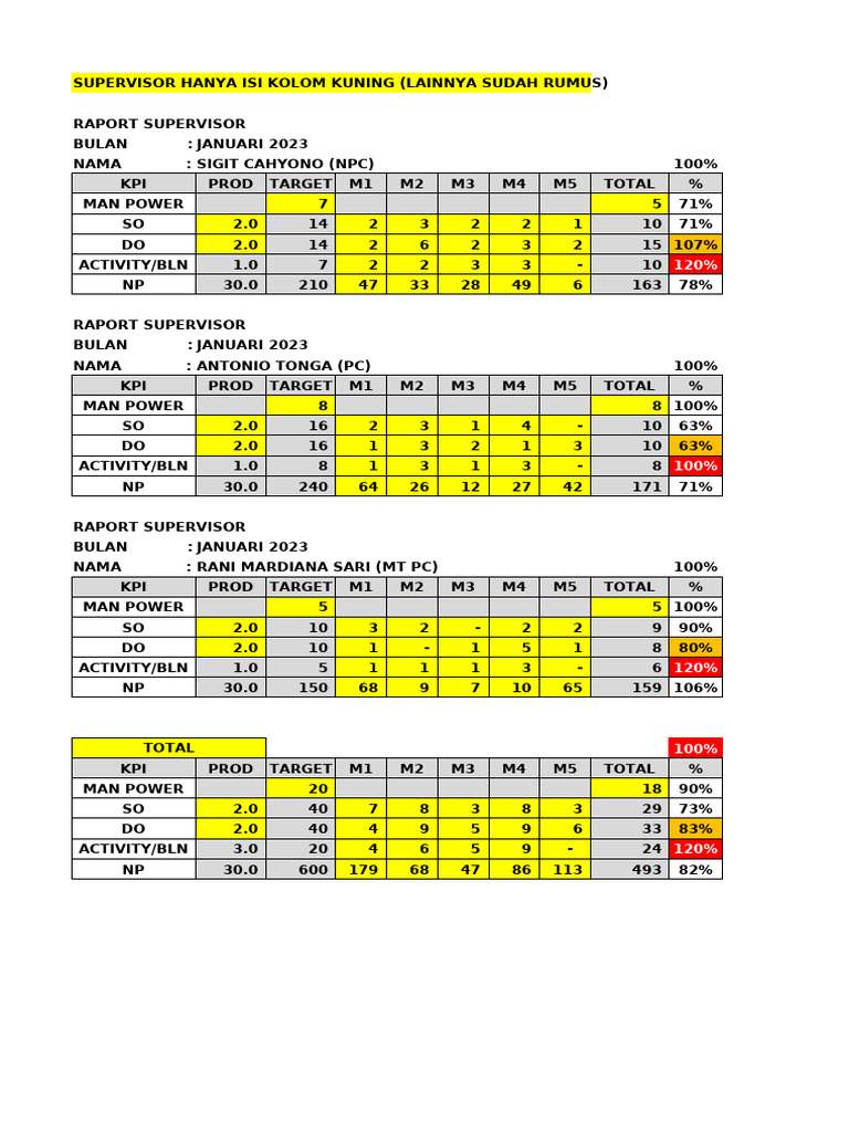 Raport Kpi Supervisor 2023 | PDF