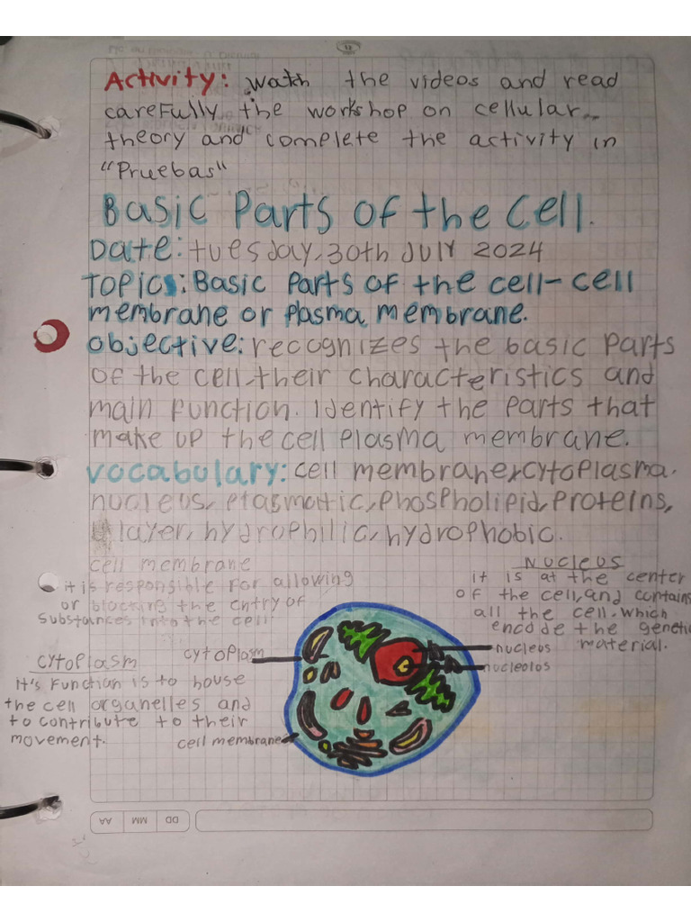 The Cell Membrane | PDF