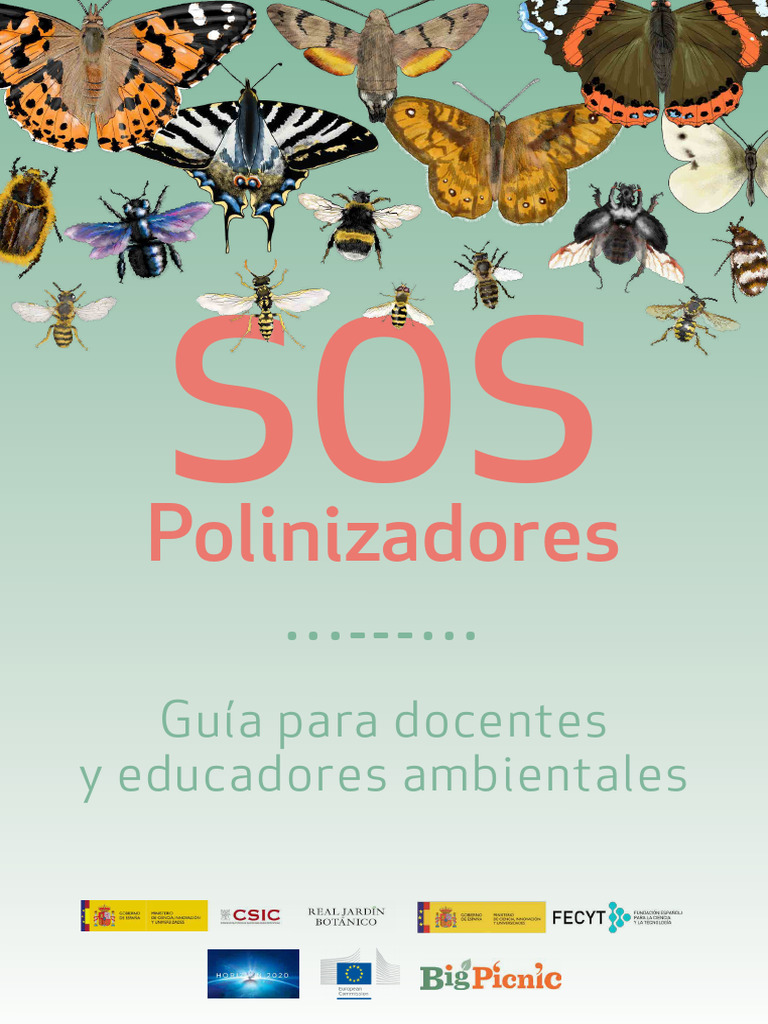 Sos Polinizadores 18 01 2019 Web | PDF