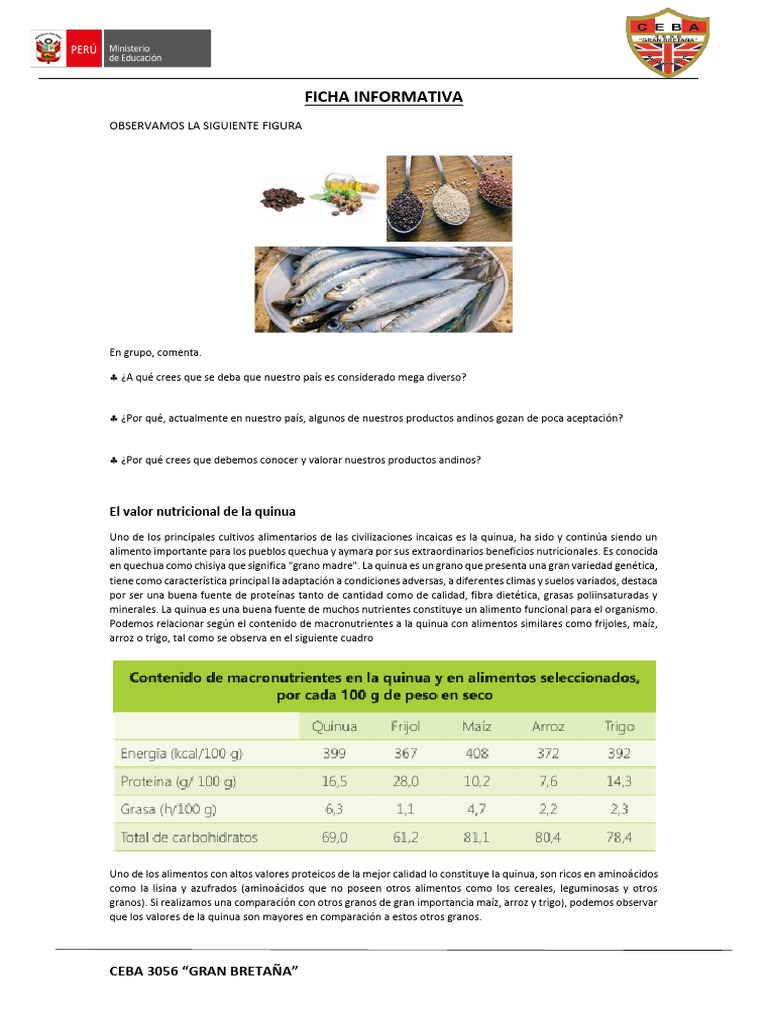 Ficha Informativa S5 | PDF