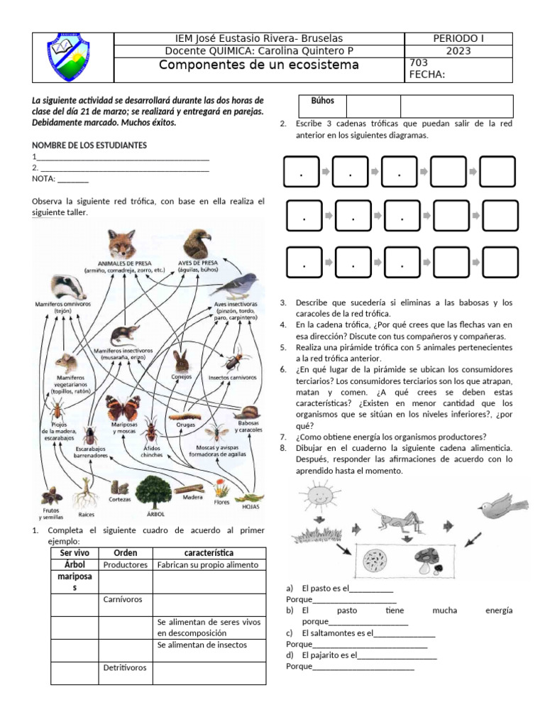 Taller Cadenas y Redes Troficas | PDF