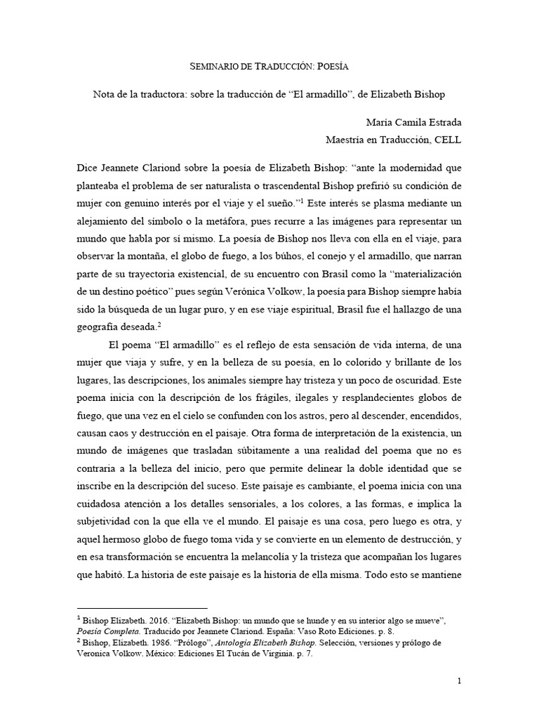 Justificación de Traducción El Armadillo | PDF