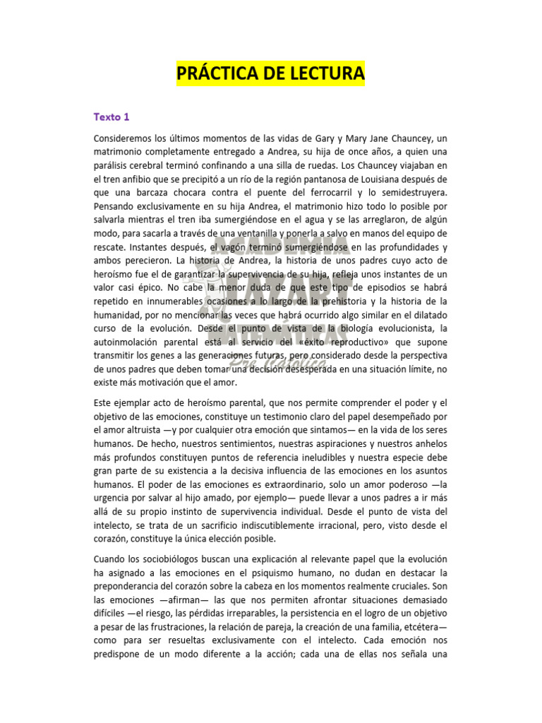 Práctica de Lectura 19-08 Sesión de Consultas | PDF