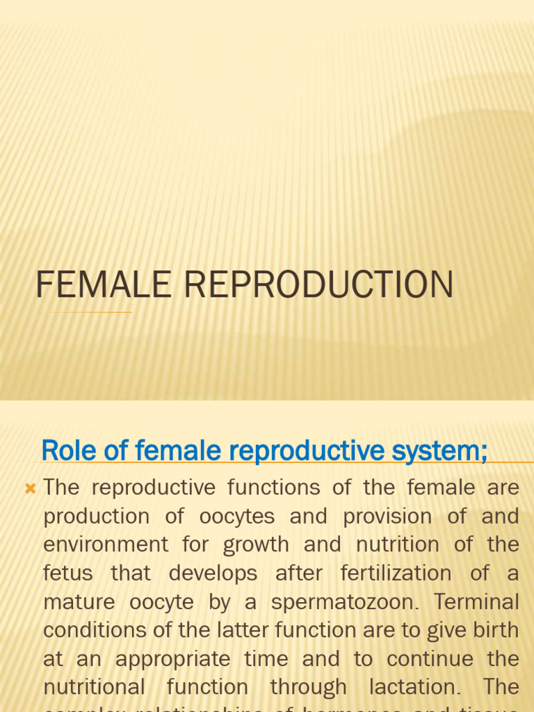 Female Reproduction. | PDF