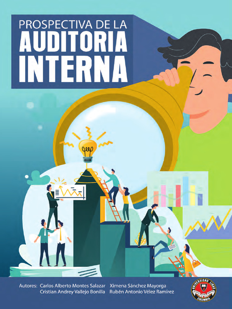 04.libro Propepectiva de La Auditoria Interna | PDF