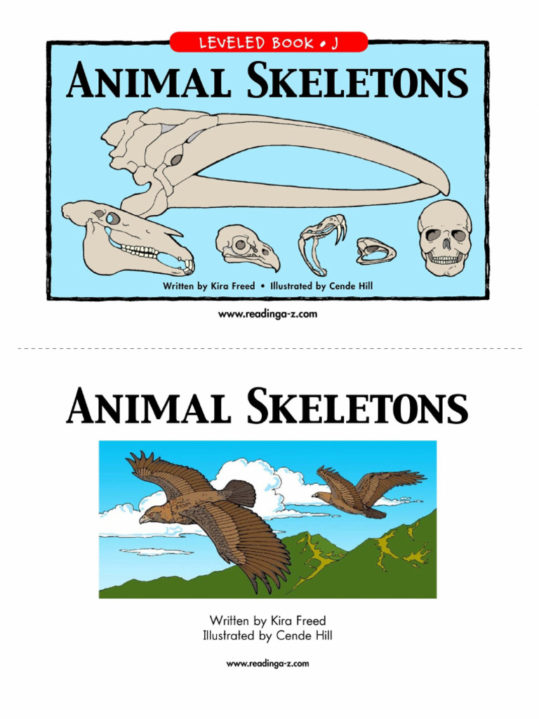 Animal Skeletons | PDF