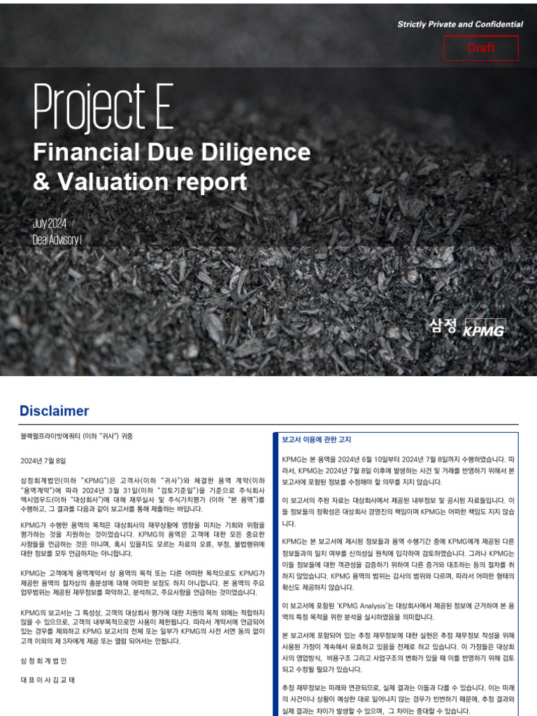 Project E_FDD&Valuation report_ver5.2_Draft | PDF