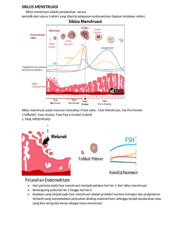 Siklus Menstruasi | PDF