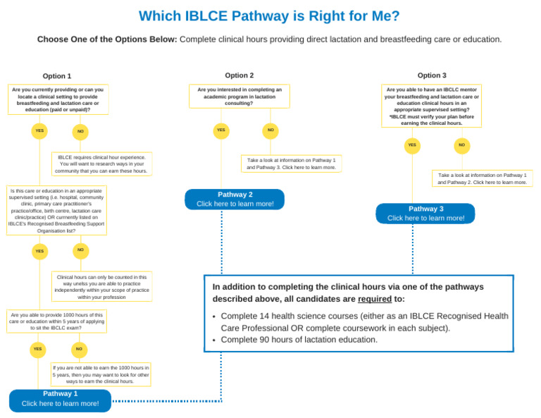 Which IBLCE Pathway Is Right For Me | PDF