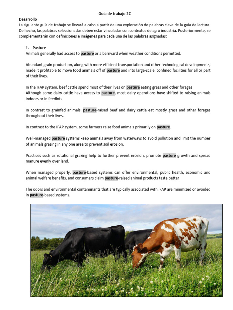 Ingles 2C 2024 | PDF