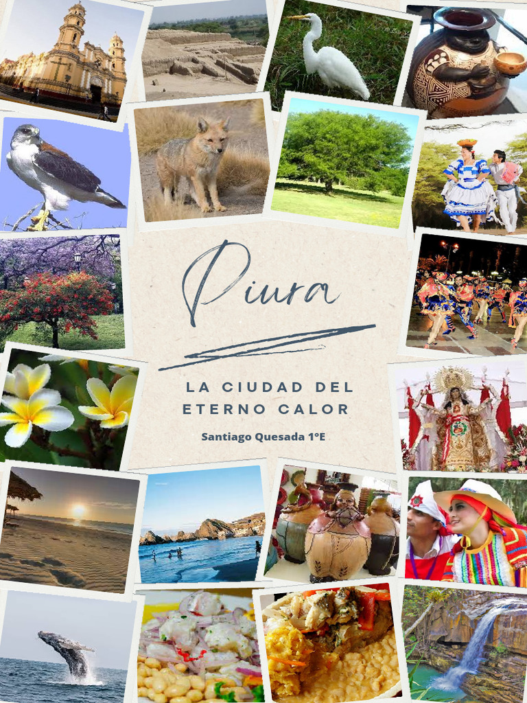 COLLAGE PIURA | PDF