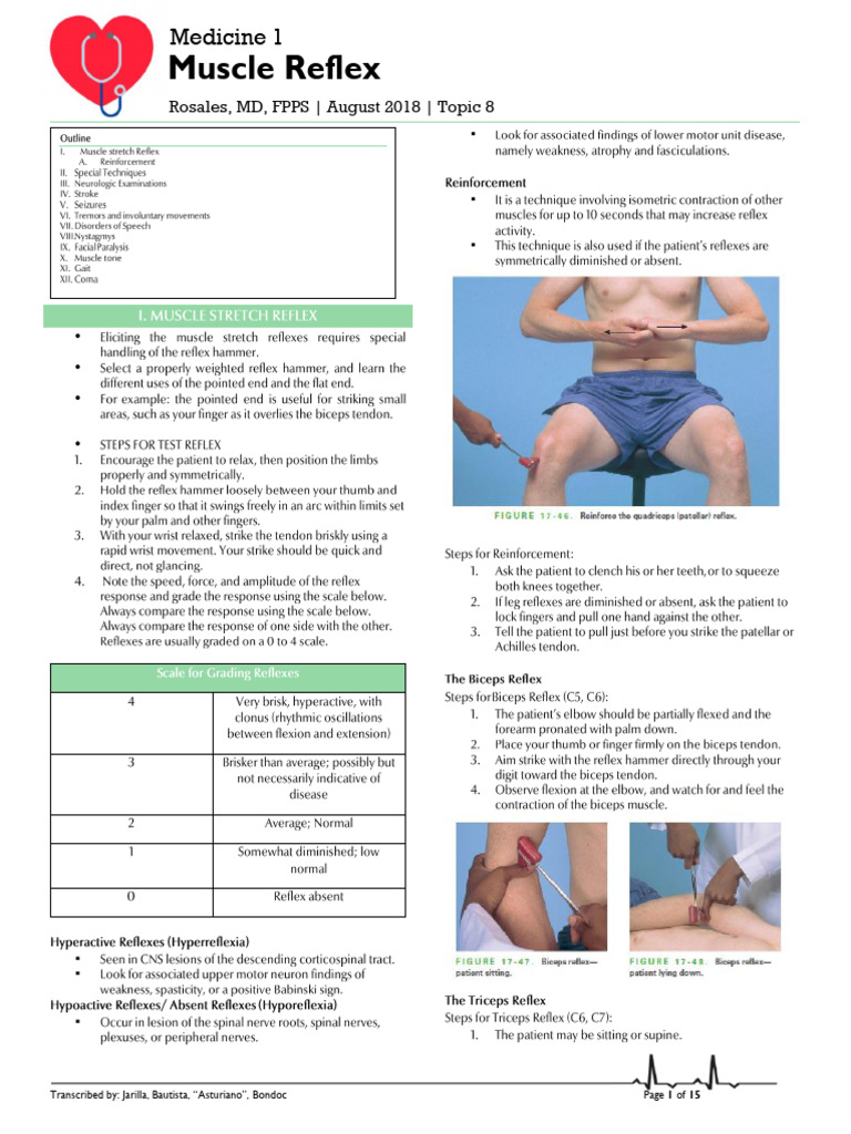 Med201 S1T8 Prelim The Muscle Reflex 2021 | PDF