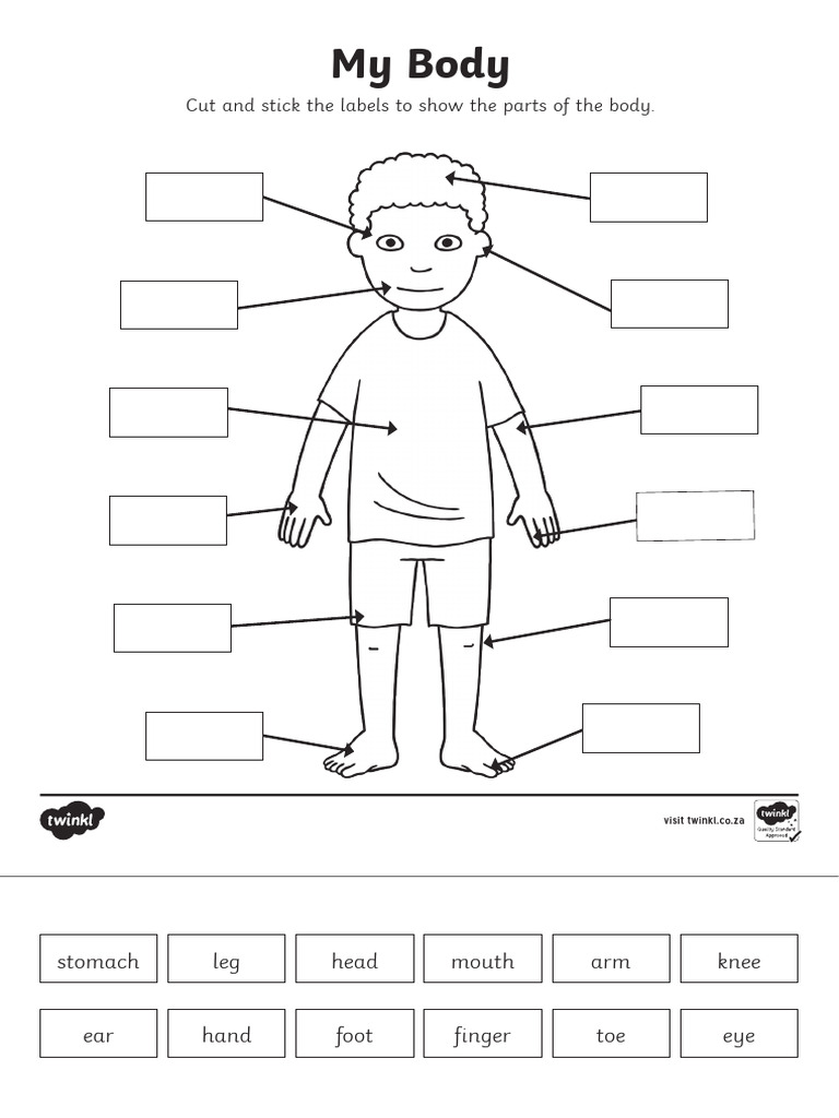 Za Kps 91 My Body Cut and Stick Labeling Activity - Ver - 3 | PDF ...