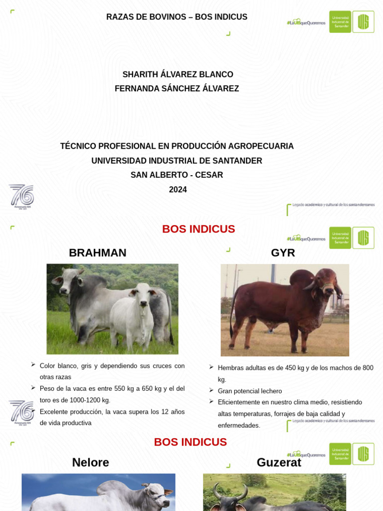 Expo-BOS INDICUS | PDF