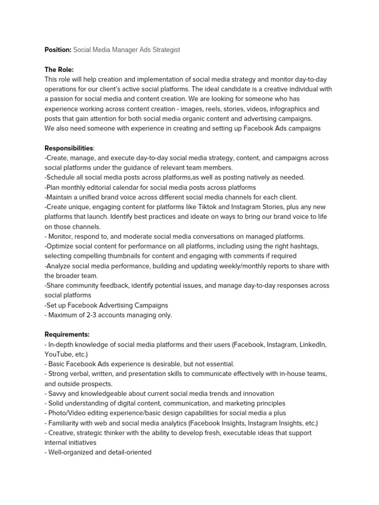 Social Media Manager Ads Strategist | PDF