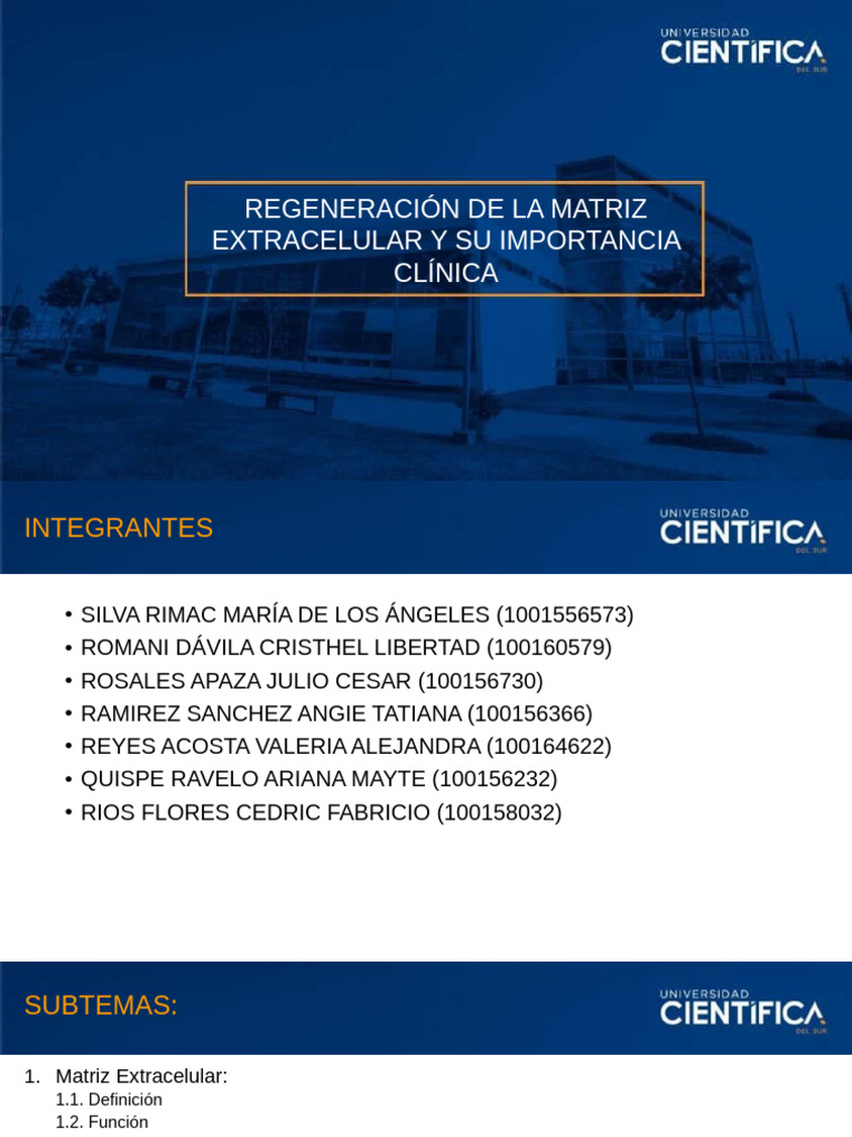 Regeneracion de La Matriz Extracelular y Su Importancia Clinica | PDF
