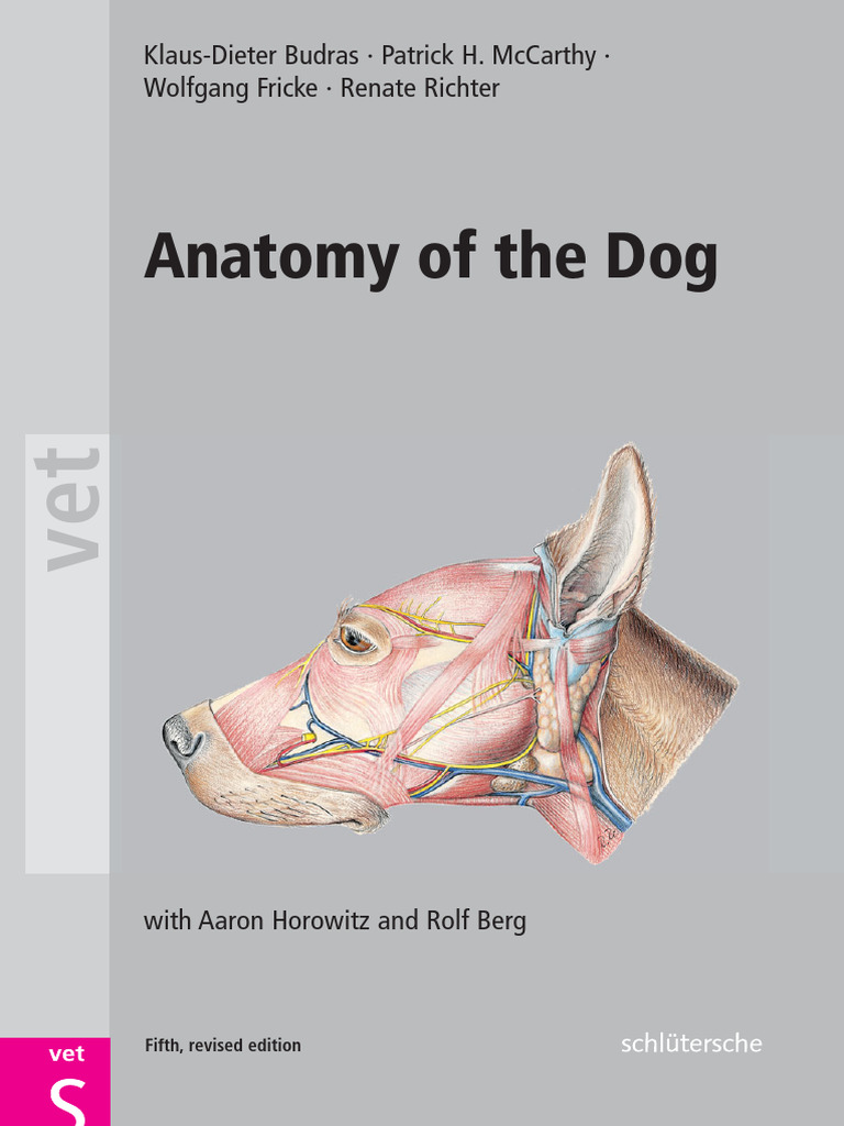 Anatomy of The Dog BUDRAS | PDF