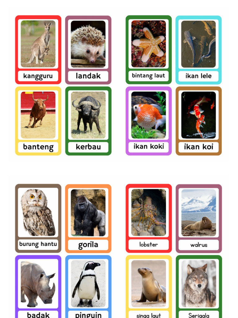 Flashcard Hewan | PDF