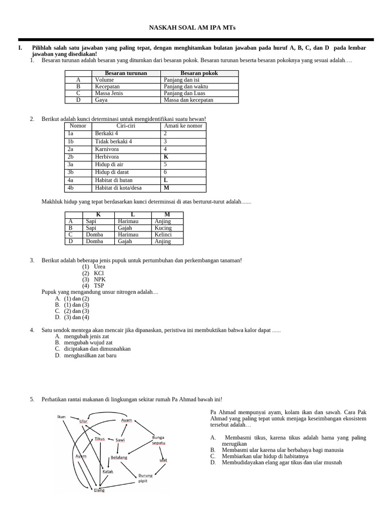 Naskah Am Ipa 20232024 | PDF