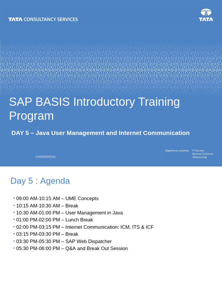SAP BASIS Introductory Training Program - Day 5 | PDF