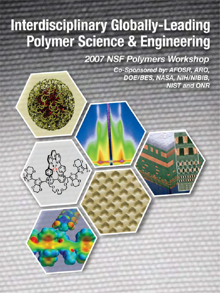 NSF Polymer Workshop | PDF