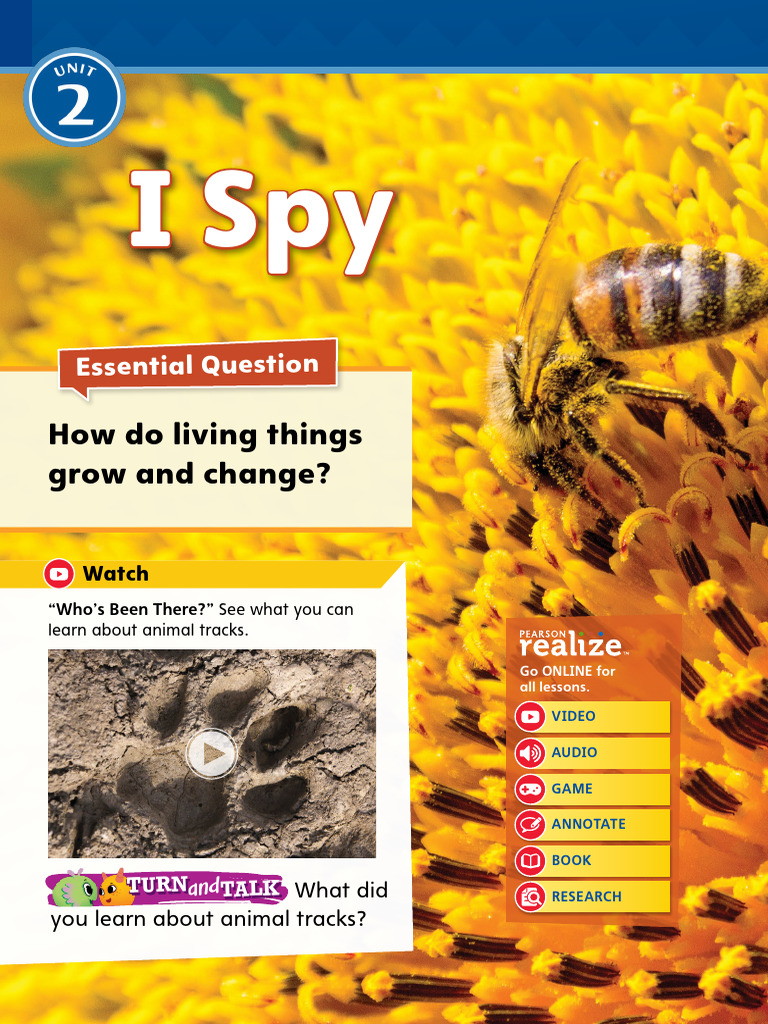 My View Unit 2 First Grade | PDF