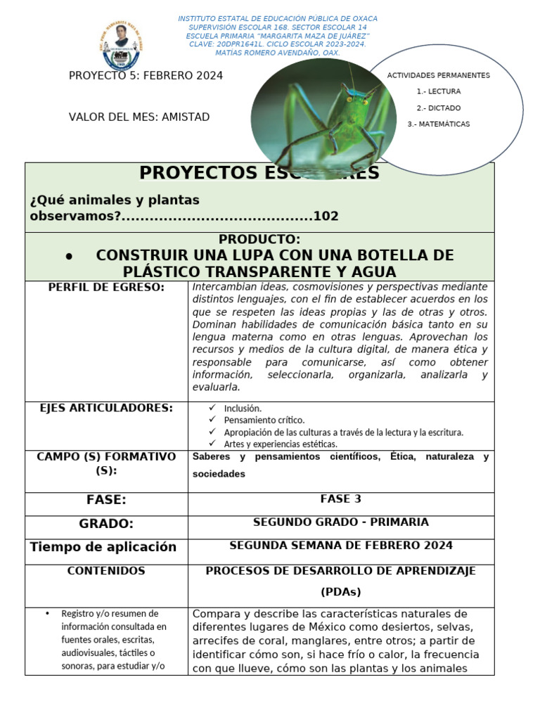 PROYECTO 5-¿Qué Animales y Plantas Observamos | PDF | Plantas ...