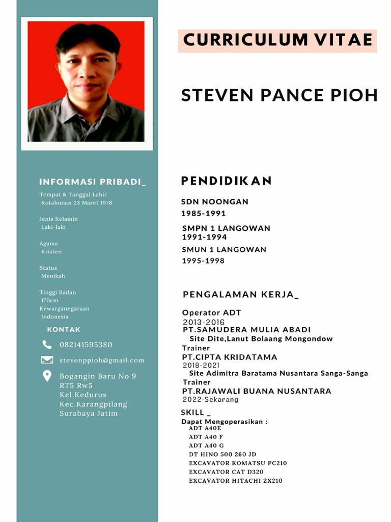 CV Steven P Pioh | PDF