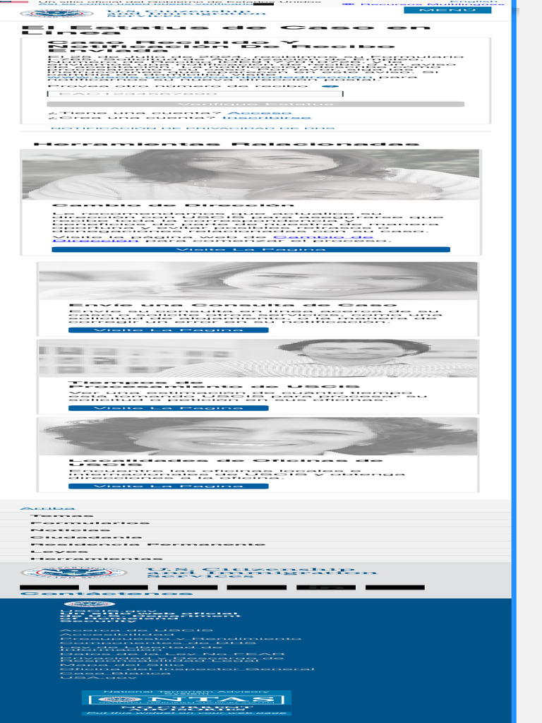 El Estatus de Caso en Linea - Busque El Estadao de Caso | PDF