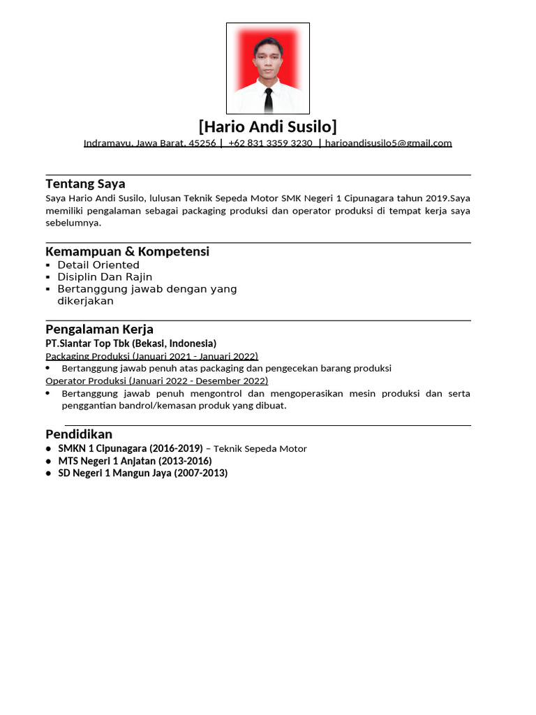 Contoh CV Fix | PDF