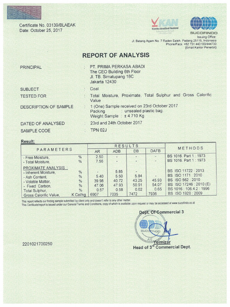 Reprot Analysis-TPN 02J | PDF