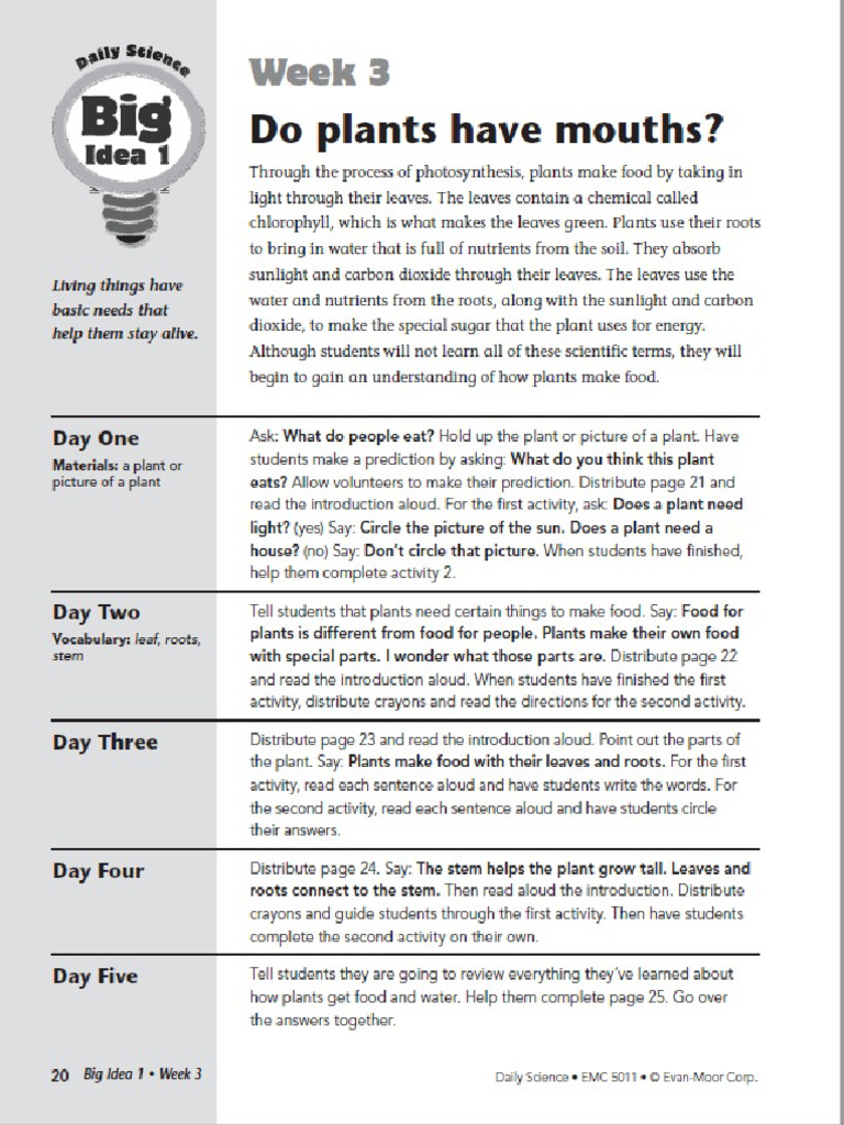 Science - Plants | PDF