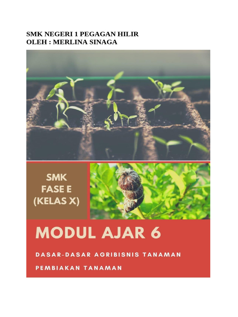 Modul Ajar Dasar-Dasar Agribisnis Tanaman - Pembiakkan Tanaman - Fase E ...