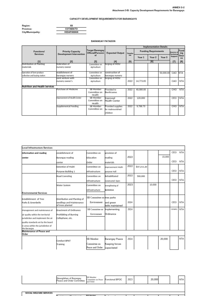 Capdev Sample - XLSX 2021 Patadon | PDF