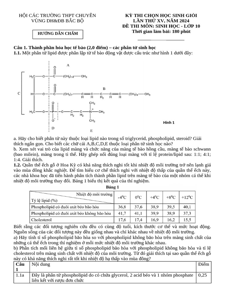 HDC Sinh 10 - Chuyen Thai Binh | PDF