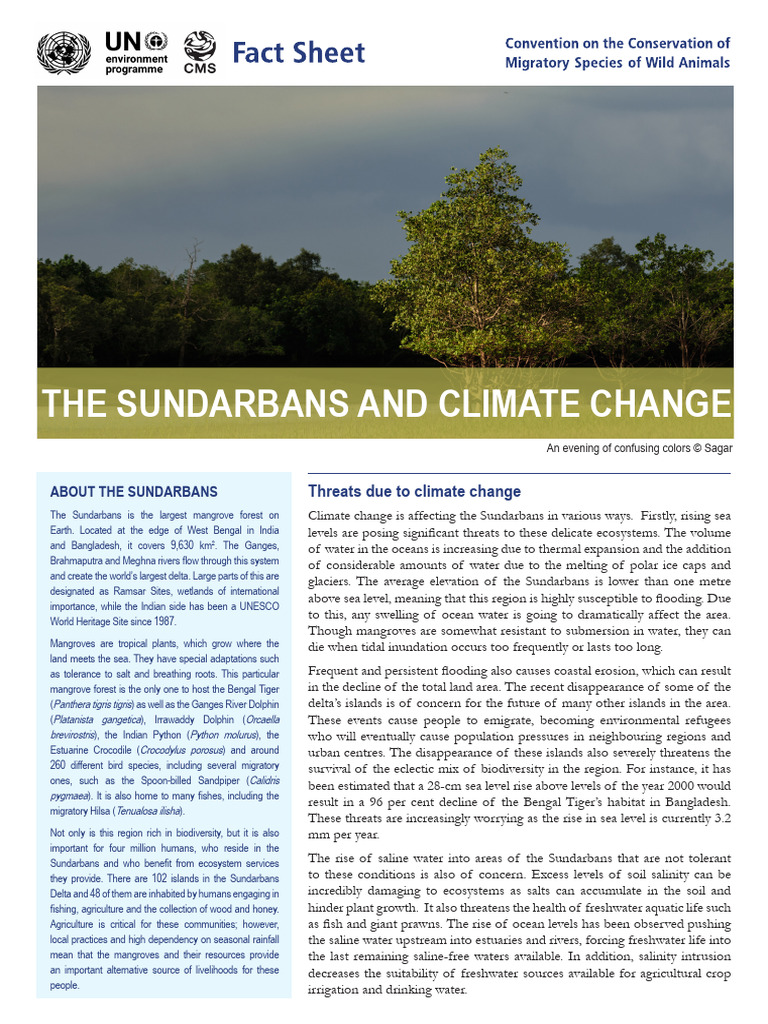 Fact Sheet Sundarbans Climate Change | PDF