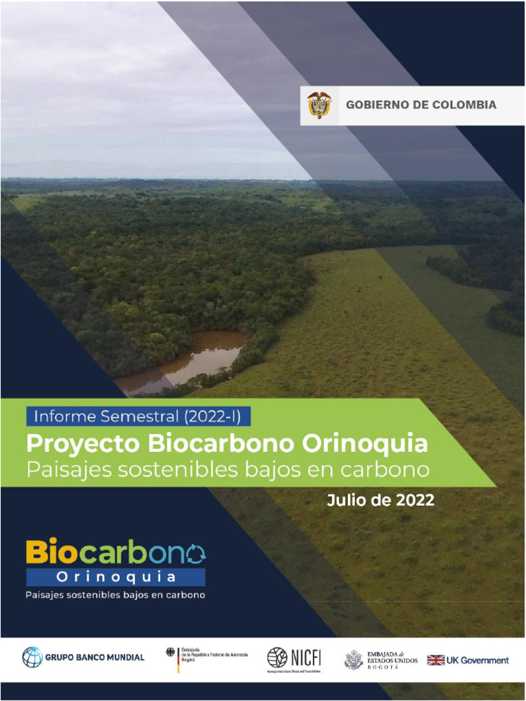 Proyecto Biocarbono Informe Semestre I 2022 | PDF
