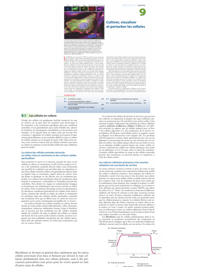 Lodish Pour Le Cours Intro 3 | PDF