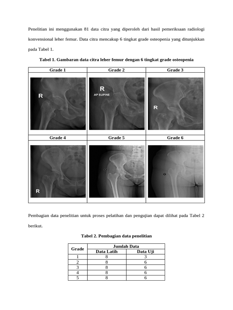 Pembagian Data | PDF