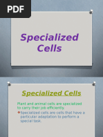 Specialised Animal Cells - Living Organisms - KS3 Biology - BBC ...