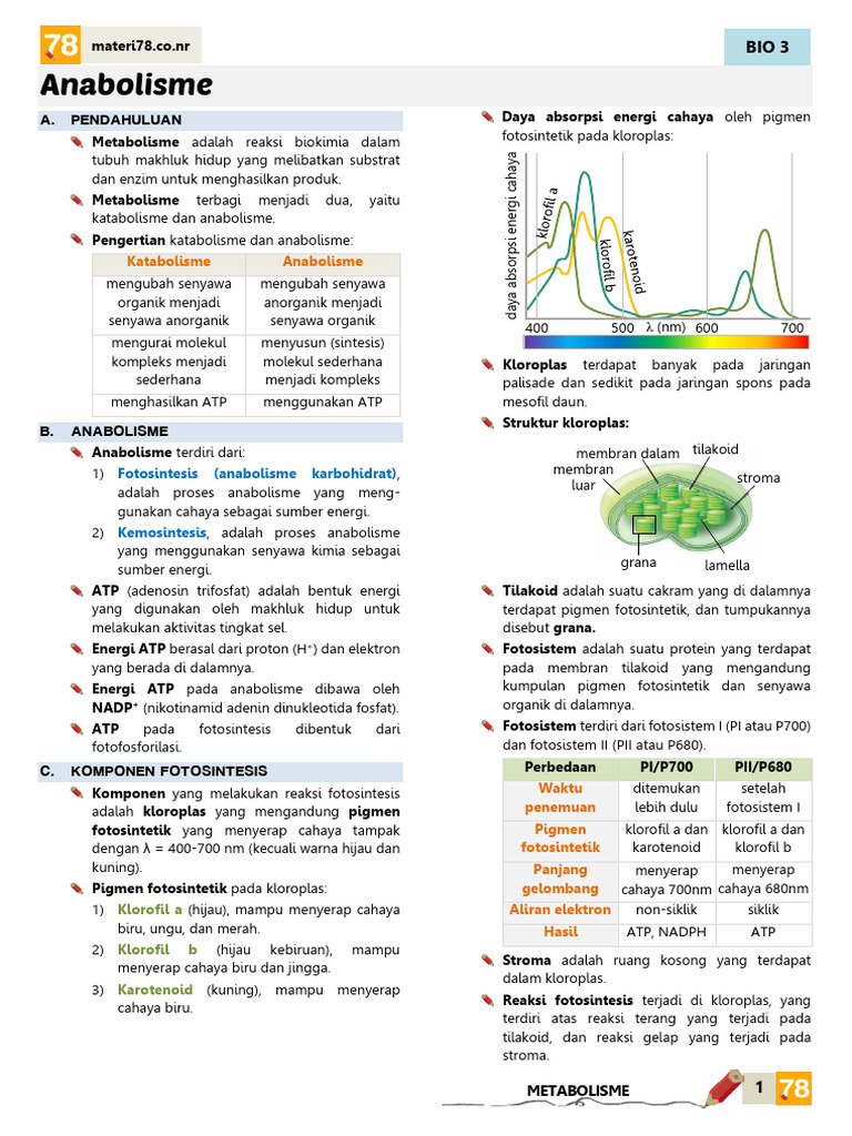 Anabo Bio | PDF | Science & Mathematics | Technology & Engineering