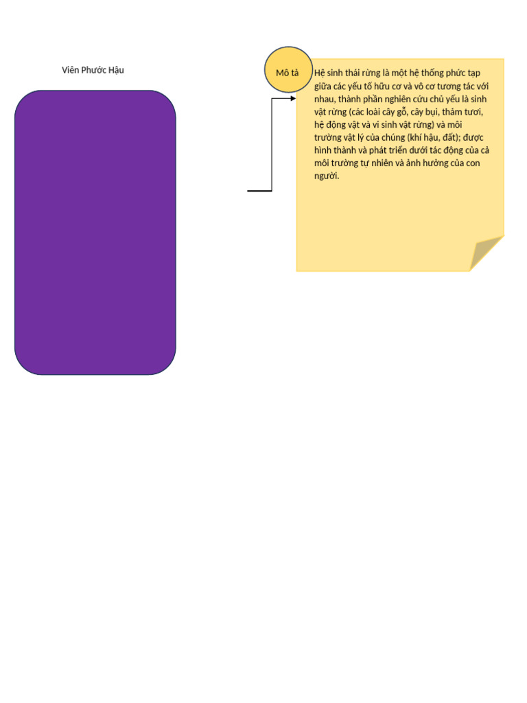 Sơ Đ Tư Duy | PDF