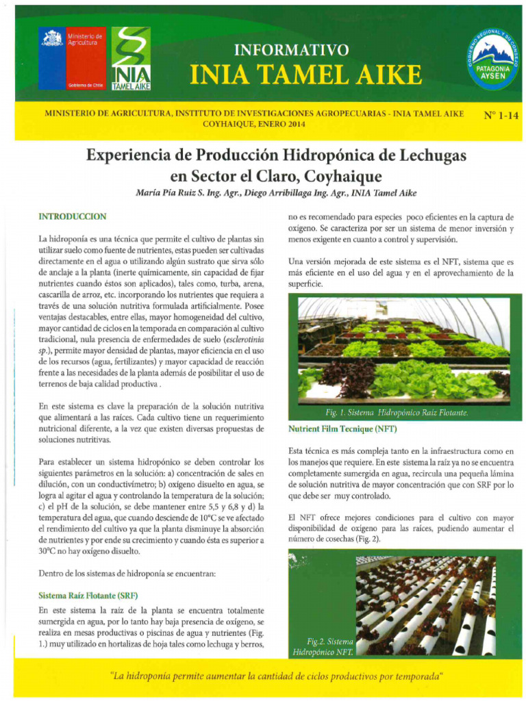 Lechuga Hidroponica_Coyhaique | PDF