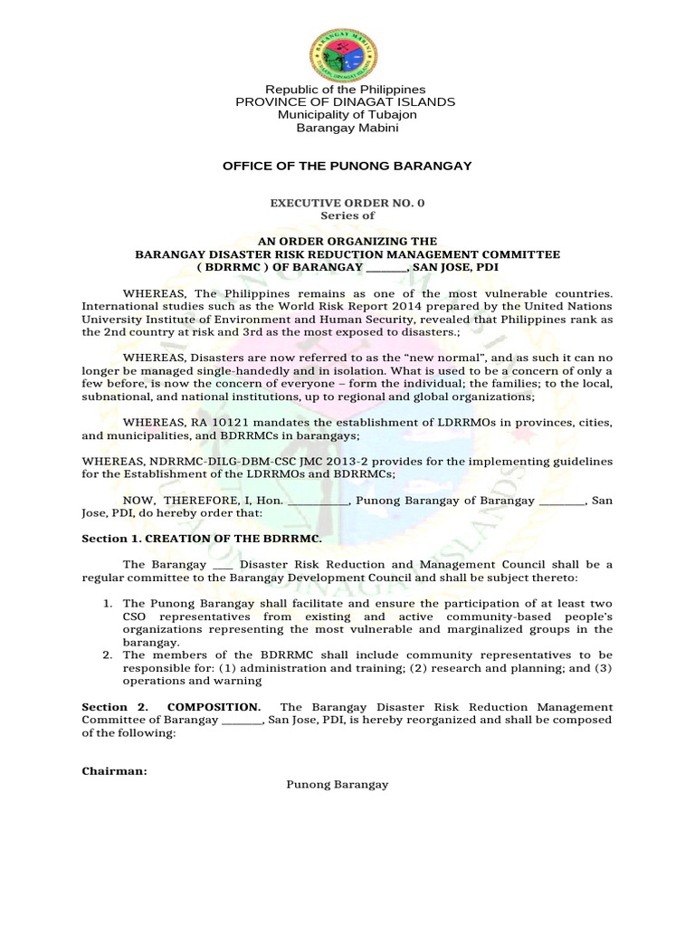 Bdrrmc Pdf